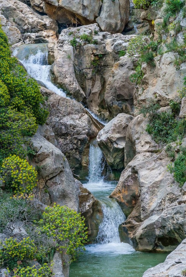Riserva Naturale Orientata “Bosco della Ficuzza, Rocca Busambra, Bosco ...